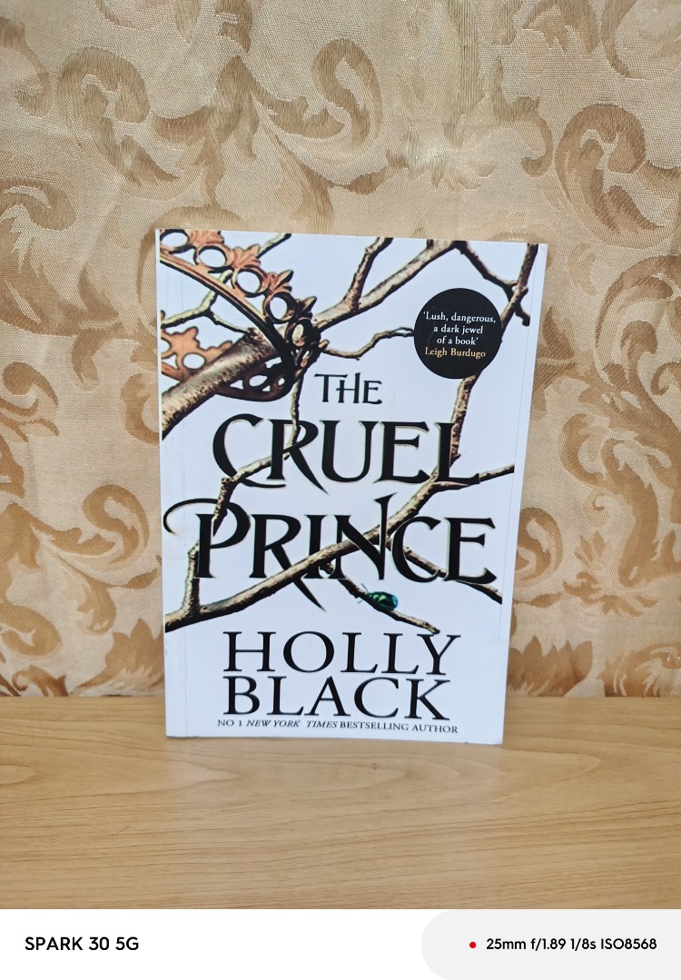 The Cruel Prince by Holly Black, Hobbies & Toys, Books & Magazines ...