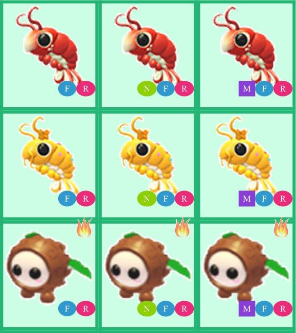 [$0.50+] adopt me summer fest 2025 (week 2) | emperor shrimp ...