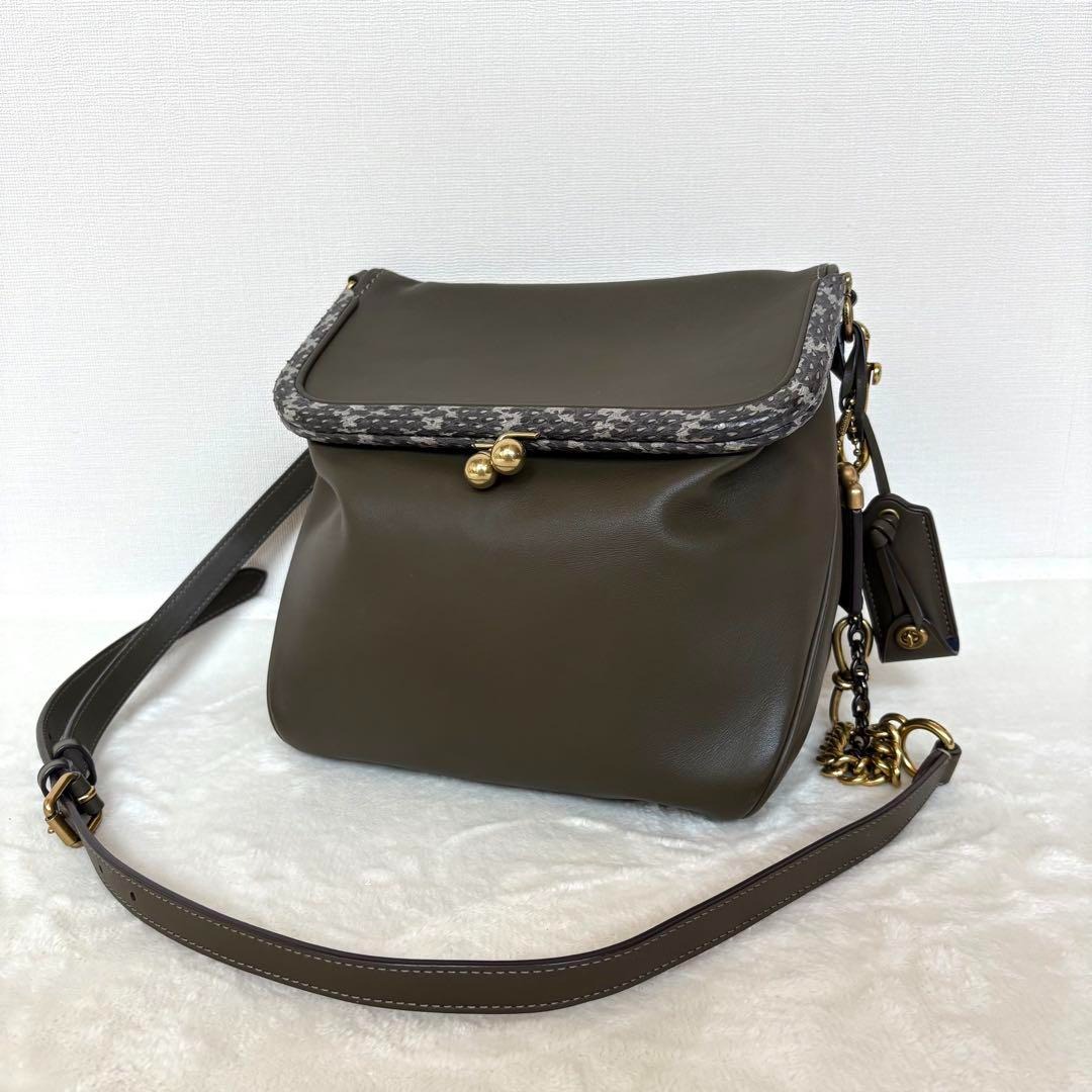 Coach Rider Bag 24 Capsule Chain Shoulder Bag Leather MMMb18, Luxury ...
