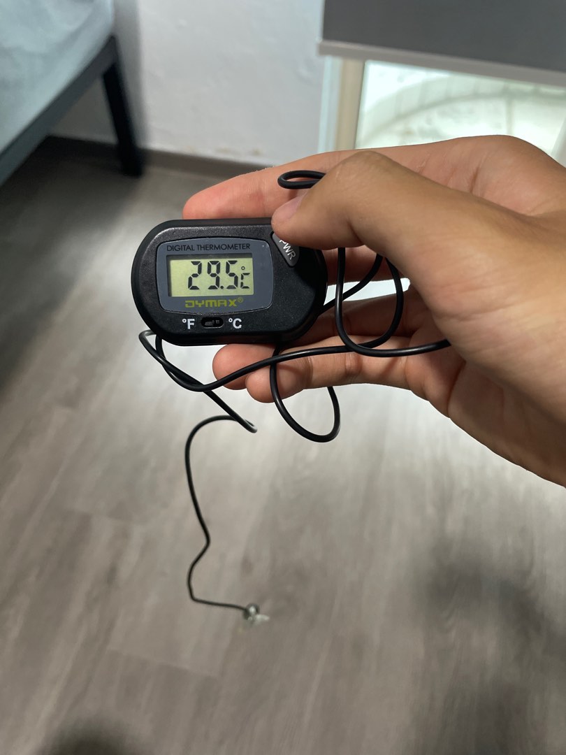 Dymax Digital Thermometer, Health & Nutrition, Thermometers on Carousell