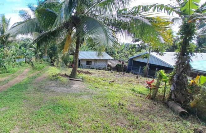 300sqm Tanay Farm lot near Marilaque, Property, For Sale, Lot on Carousell