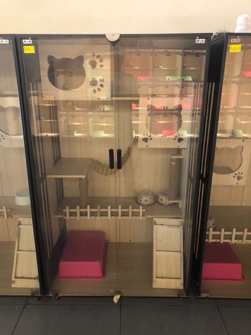 Bilik kucing pintu kaca, Pet Supplies, Homes & Other Pet Accessories on ...