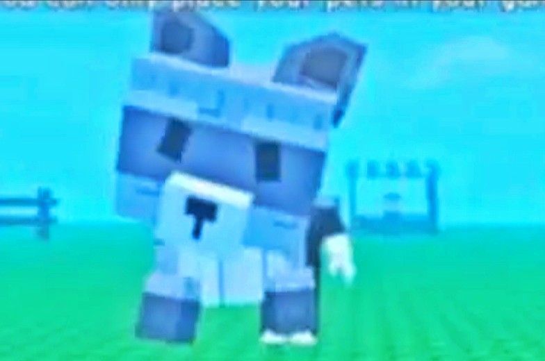 HUGE RACCOON (7KG) GROW A GARDEN, Video Gaming, Gaming Accessories, In ...