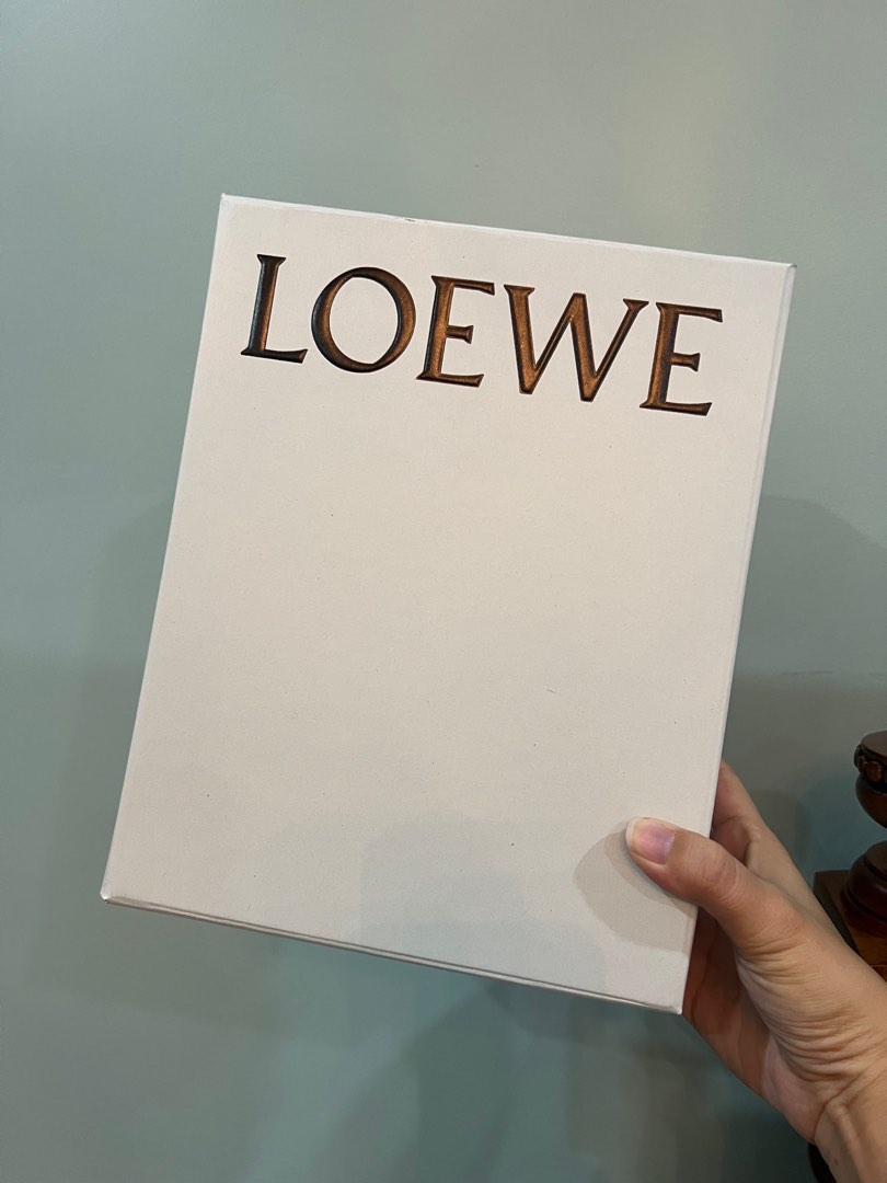 Loewe Box Small (with Free Loewe Paper Bag), Luxury, Accessories on ...