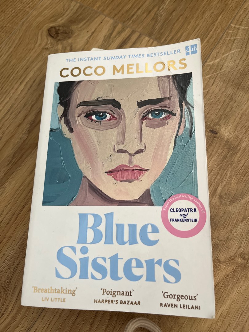 Blue Sisters by Coco Mellors book, Hobbies & Toys, Books & Magazines ...