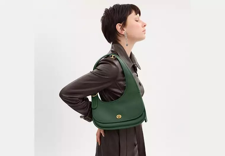 Coach Cashin Carry Crescent Bag, Luxury, Bags & Wallets on Carousell