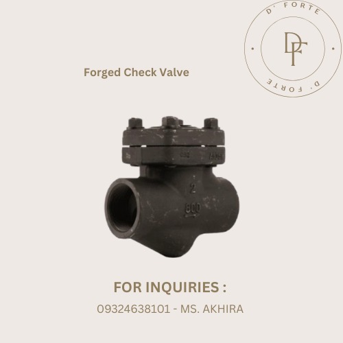 Forged Check Valve, Commercial & Industrial, Construction & Building ...
