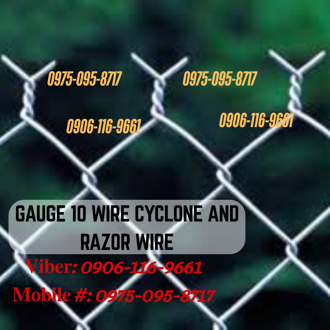 Gauge 10 Wire Cyclone and Razor Wire,Styromesh Panel 1.2mx3.0m 38mm,3 ...