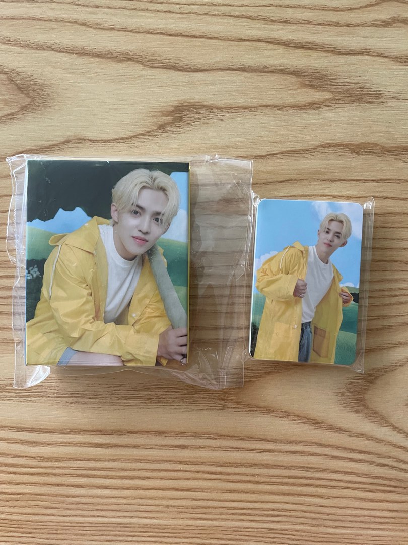 Seventeen svt carat album member binder, Hobbies & Toys, Memorabilia ...