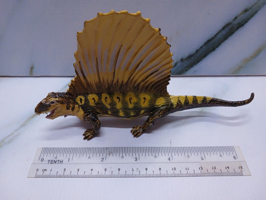 CARNEGIE COLLECTION DIMETRODON MODEL, Hobbies & Toys, Toys & Games on ...