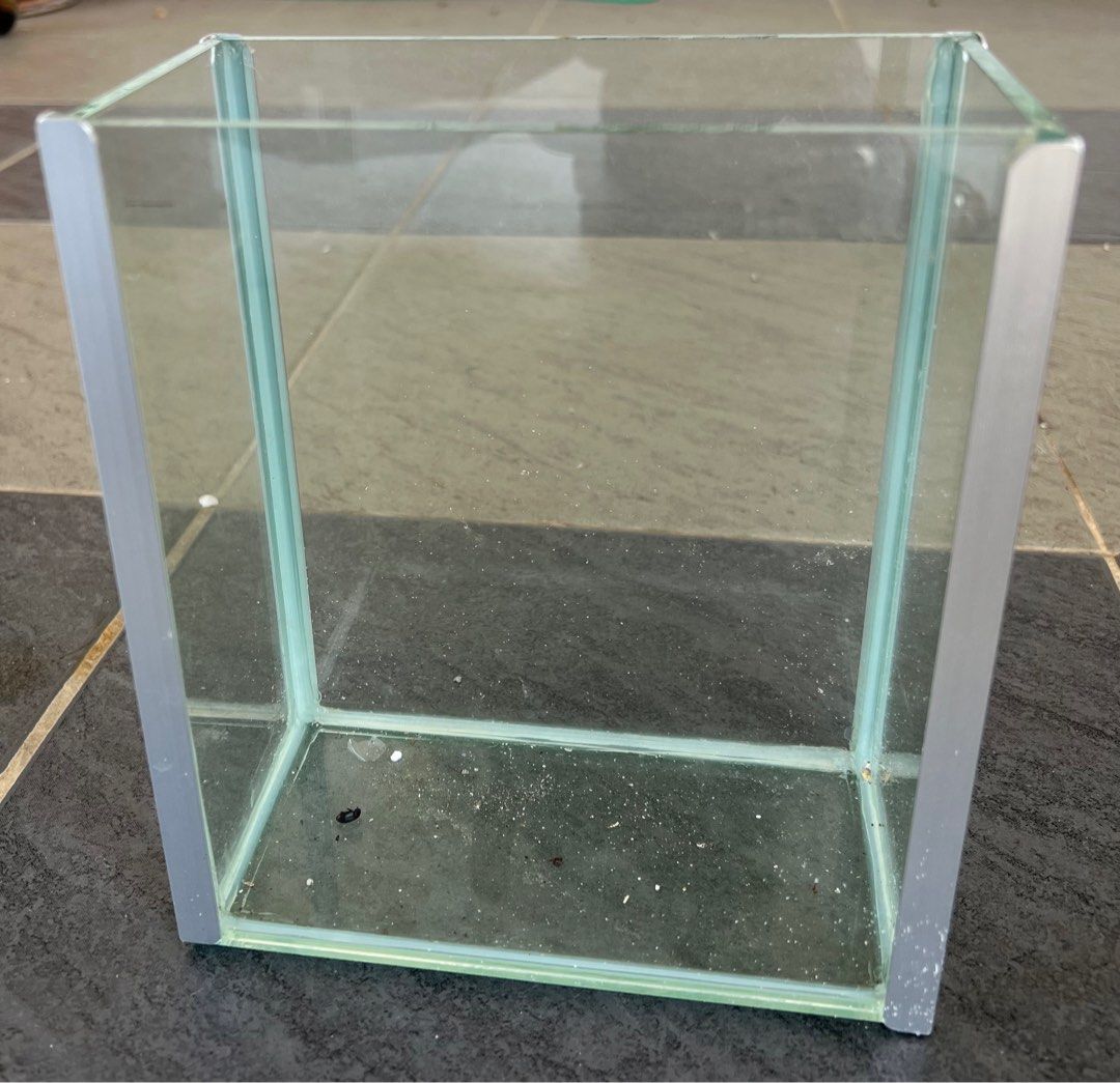 Akuarium Kaca Betta/Guppy 6x3x7inci SU Tank, Pet Supplies, Homes ...