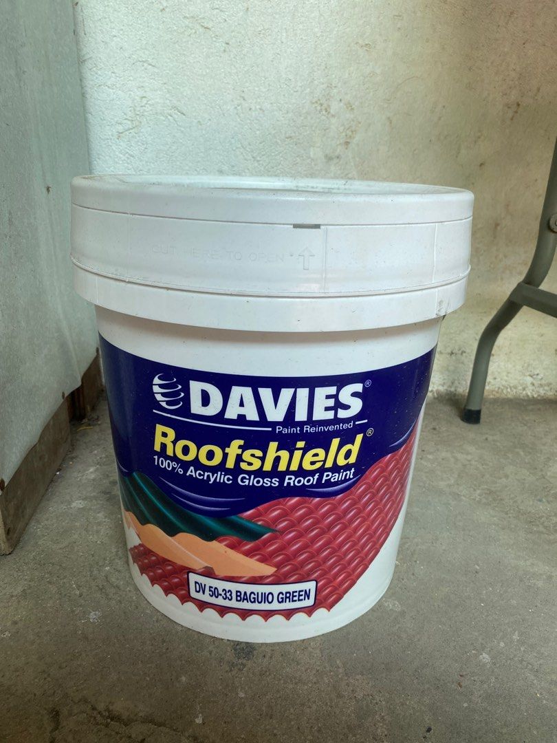 Davies Roofshield 100% Acrylic Gloss Roof Paint, Furniture & Home ...