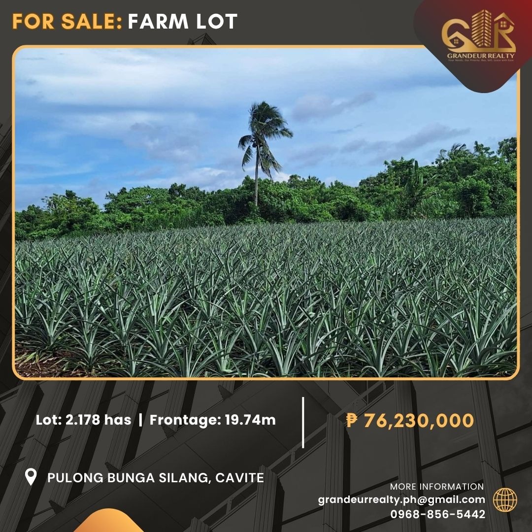 For Sale: Farm Lot located at Pulong Bunga Silang, Cavite, Property ...