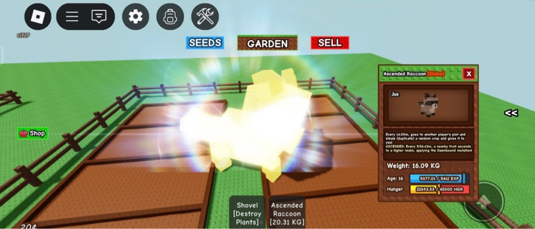 ASCENDED HUGE RACCOON // Grow a Garden, Video Gaming, Gaming ...