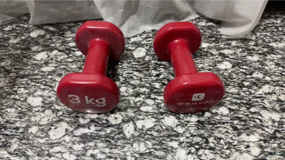 Domyo 3kg Dumbbell, Sports Equipment, Exercise & Fitness, Weights ...