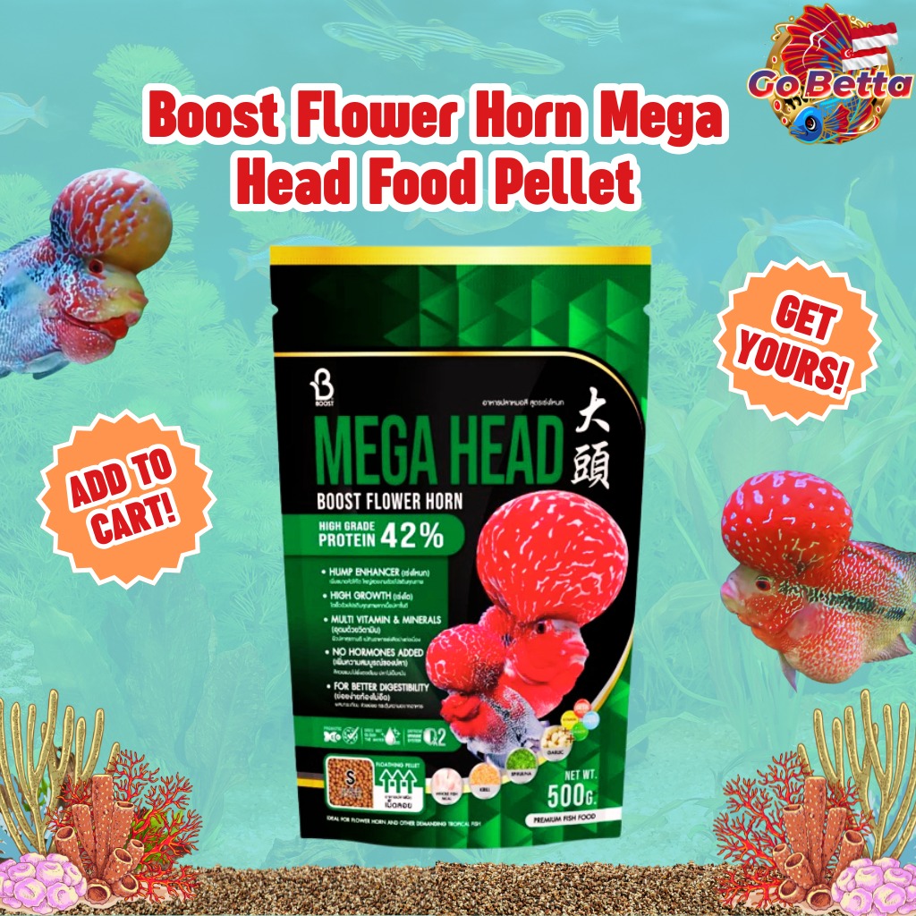 Flowerhorn Fish Food 100gr Boost Mega Head Floating Pellet Louhan Kok ...