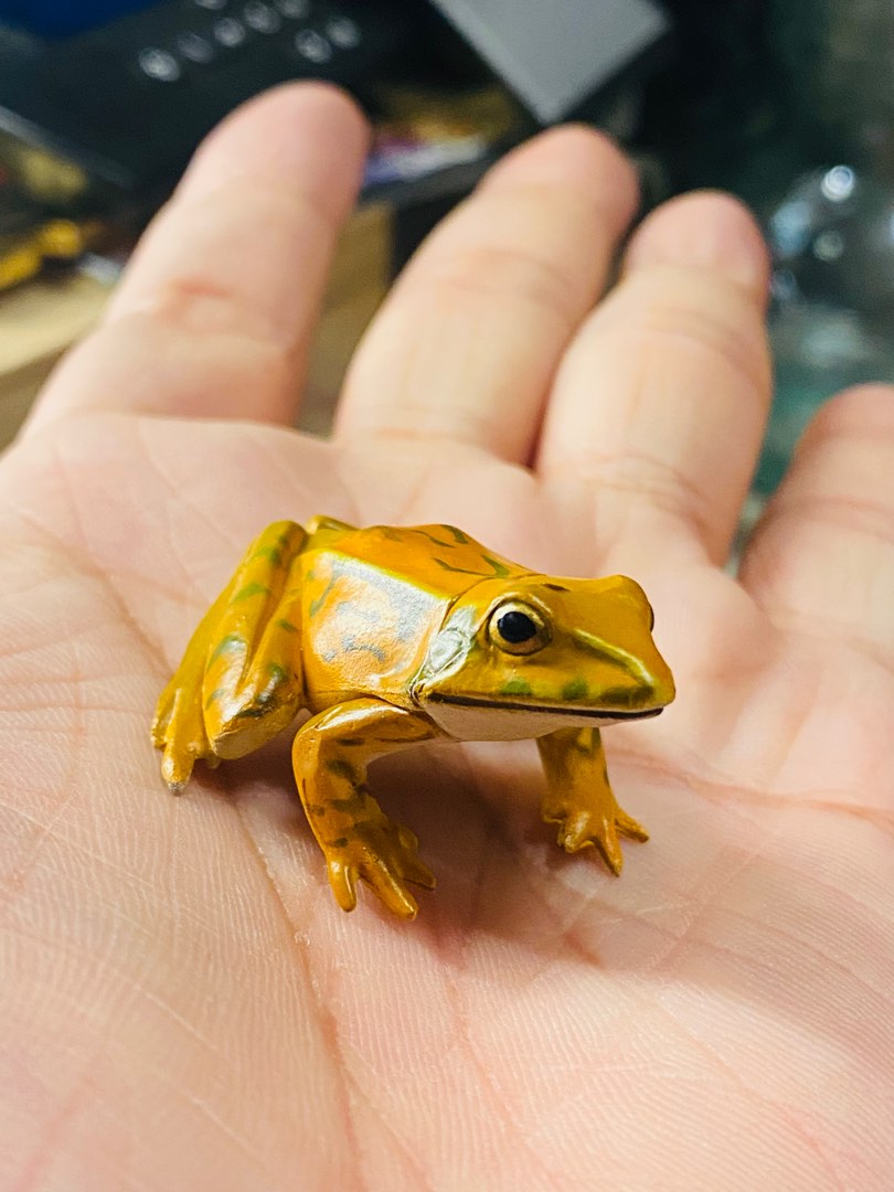 Kaiyodo Animatales Choco Q Series 2 Black-spotted pond frog, Hobbies ...