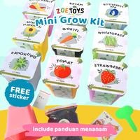 Mini Grow Kit | Paket Berkebun Gardening Kit | Souvenir Ulang, Desain ...