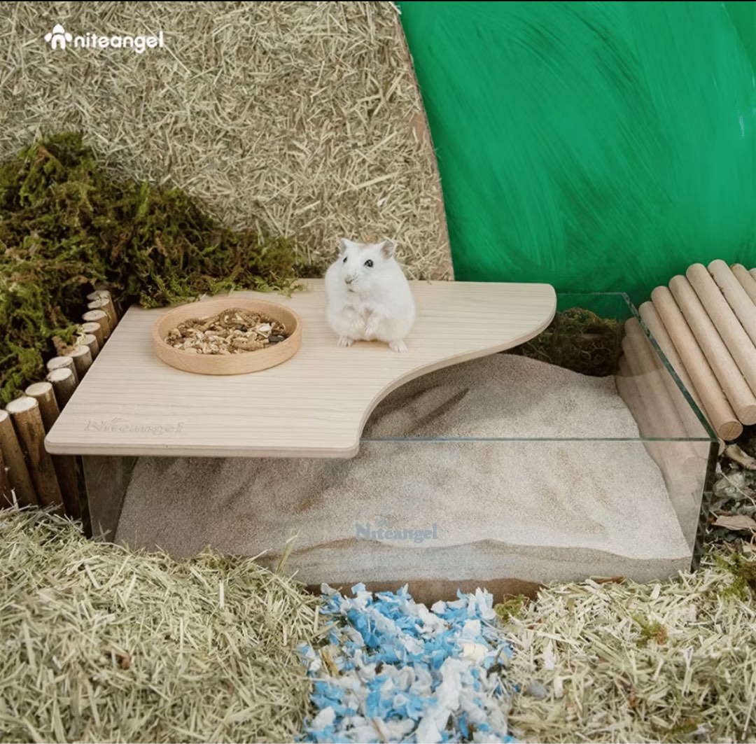 Niteangel Small Animal Sand Bath Box Acrylic Critter's Sand Bath Shower ...