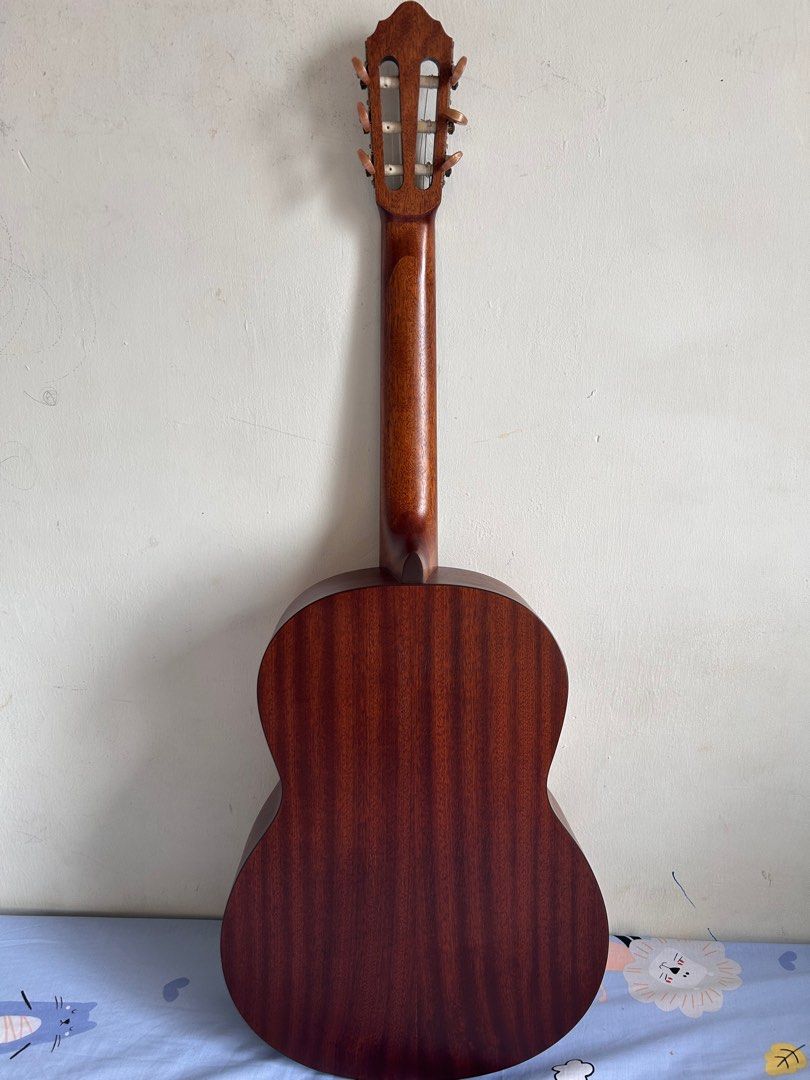 Cort AC200 Classical Acoustic Guitar Solid Spruce Top, Hobbies & Toys ...