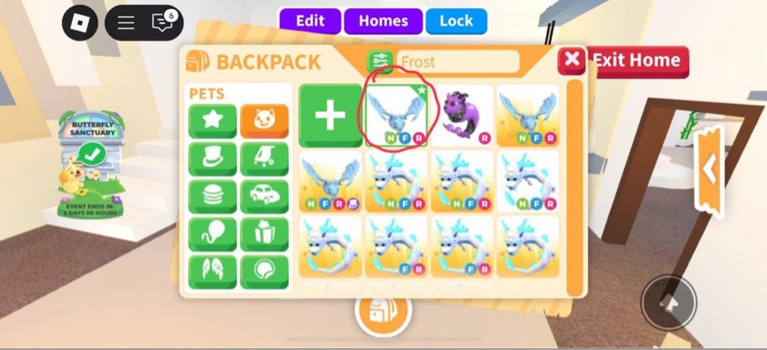 Frost Dragon NFR Adopt Me, Video Gaming, Video Games, Others on Carousell