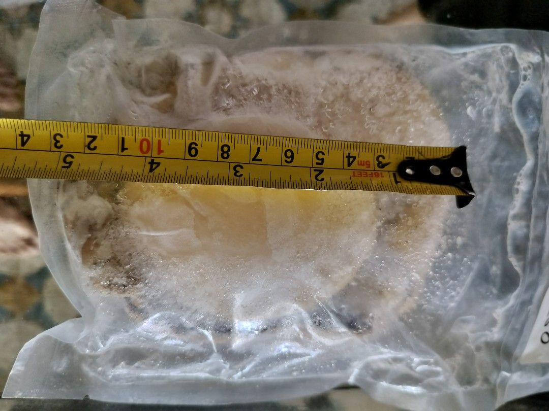 Frozen abalone, Food & Drinks, Chilled & Frozen Food on Carousell