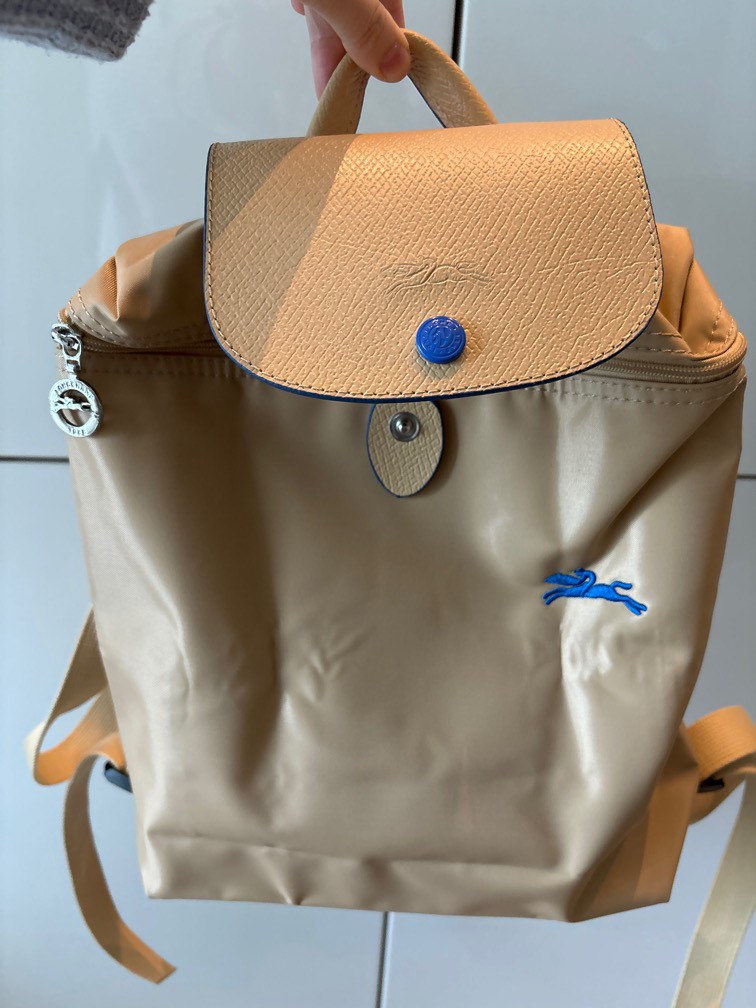 Longchamp Backpack, 女裝, 手袋及銀包, 背囊 - Carousell