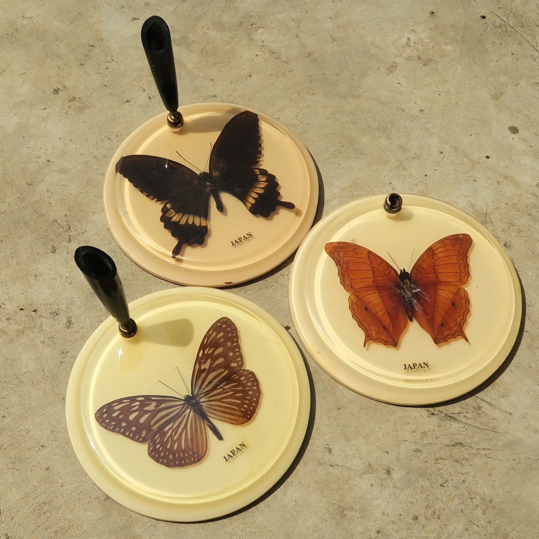 Object 320 tempat pena vintage kupu kupu asli, Perabotan Rumah di Carousell
