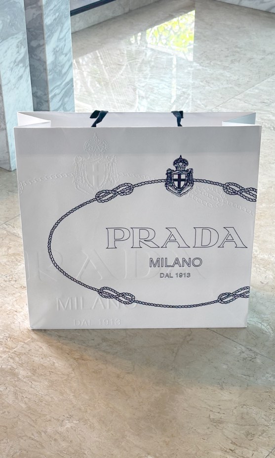 Prada L size VIP exclusive paper bag, Everything Else, Others on Carousell
