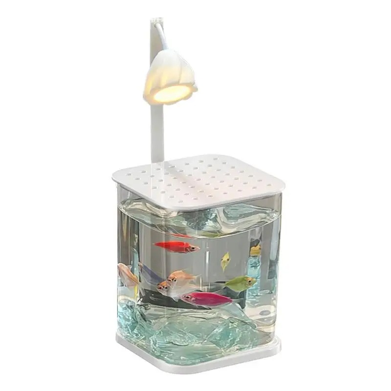 Desktop Landscape Fishbowl Fighting Fish Desktop Fishbowl Aquarium Tank ...