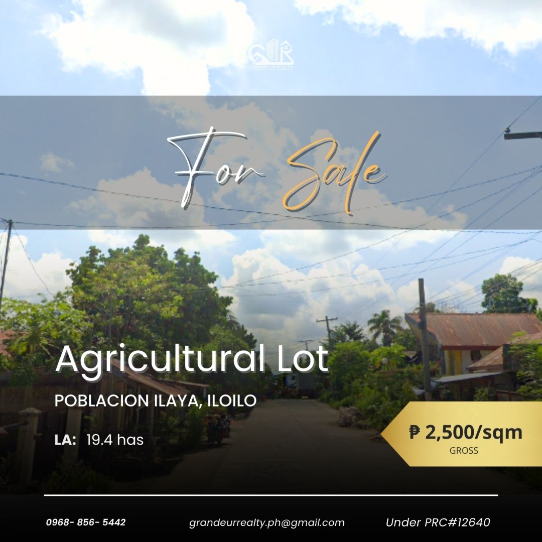 For Sale: Property located at Brgy Poblacion Ilaya, Iloilo- boundary ...