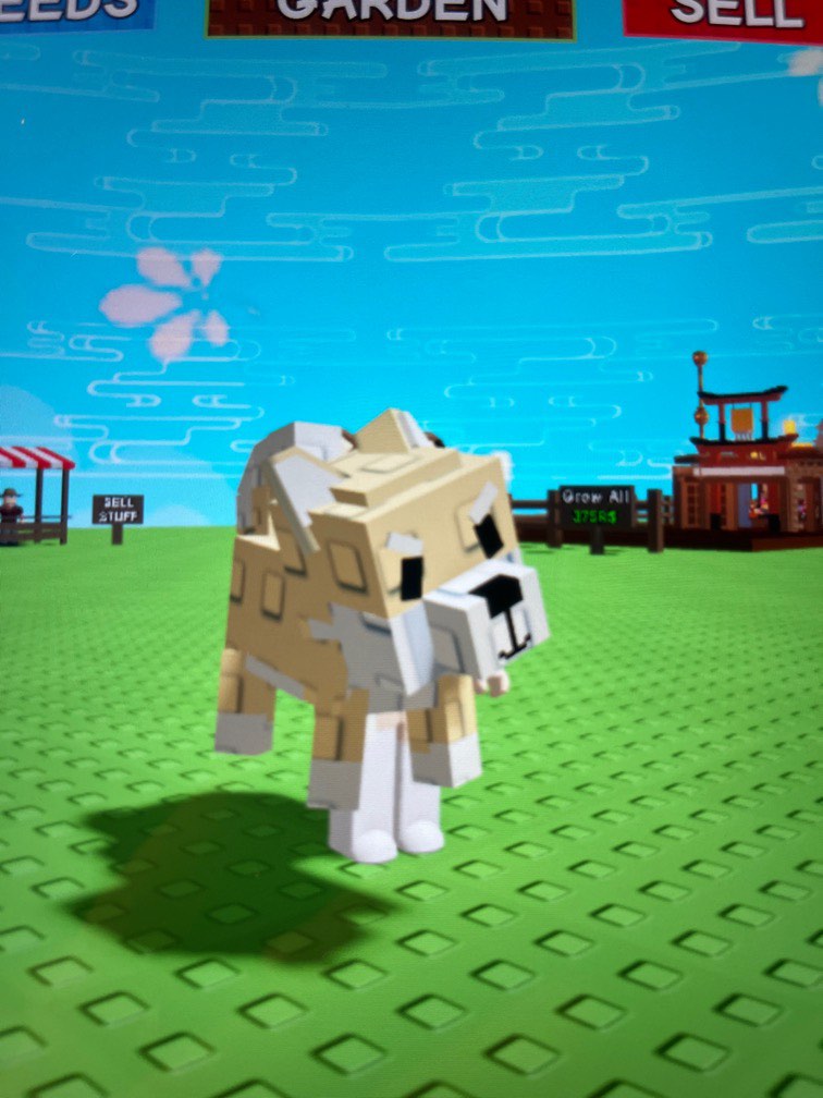 Shiba-Inu grow a garden cheap!, 電子遊戲, 遊戲機配件, 遊戲週邊商品 - Carousell