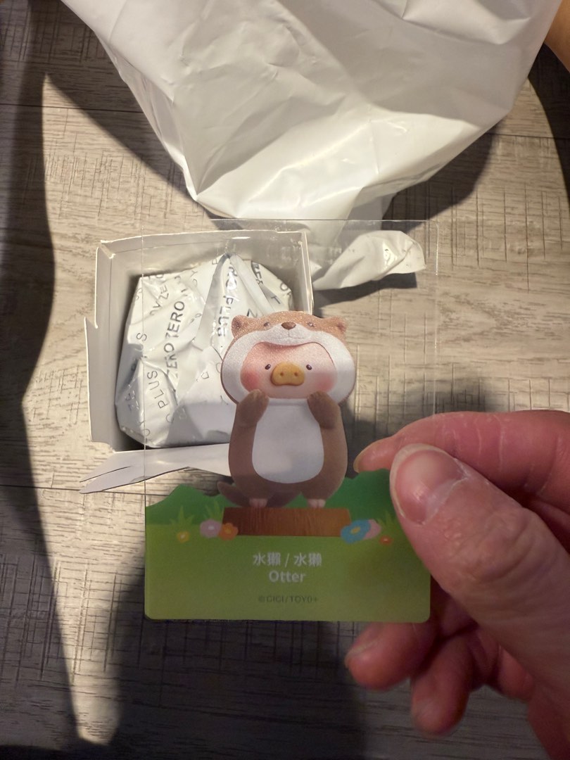Toy Zero Plus Otter Blind Box Figure, Hobbies & Toys, Toys & Games on ...