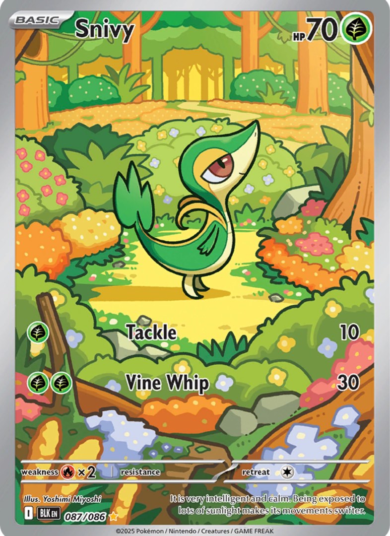 Pokemon Snivy IR #087 [ENG], Hobbies & Toys, Toys & Games on Carousell