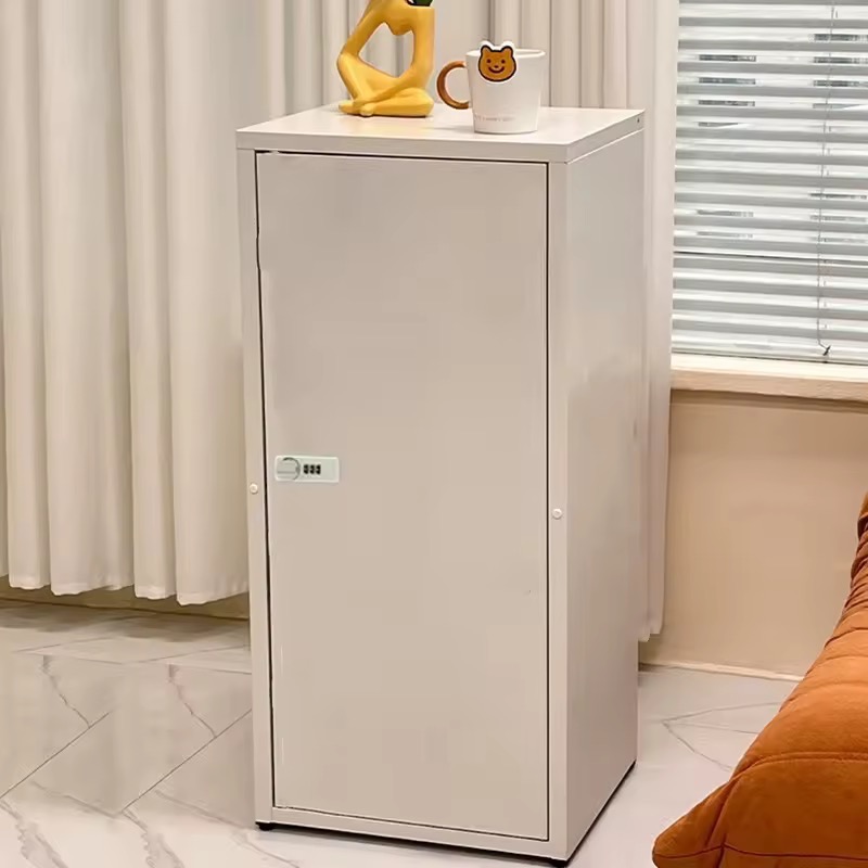 Slim Locker Storage Cabinet | Single Door Standing Cabinet | Modern ...