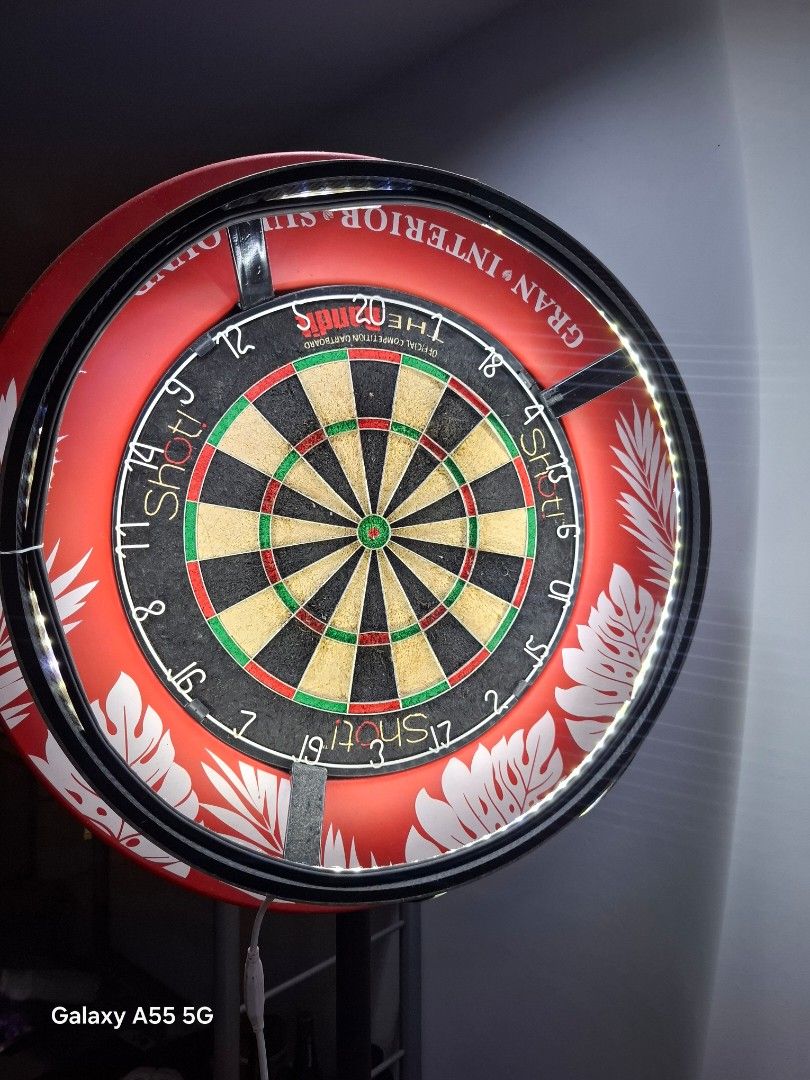 steel tip board with LED light and the red protector only., Hobbies ...