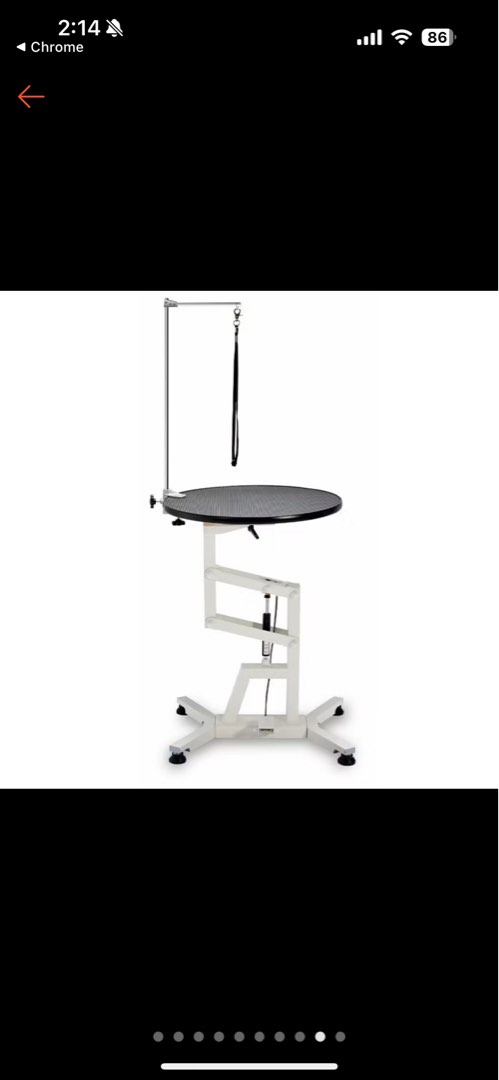 Professional Pet Grooming Table and Rolling Stool, Pet Supplies, Homes ...