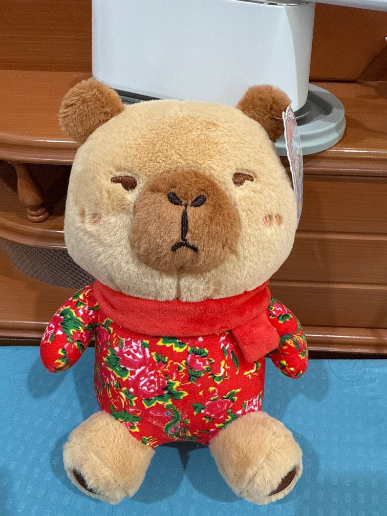 Capybara in China, Hobbies & Toys, Collectibles & Memorabilia, Fan ...