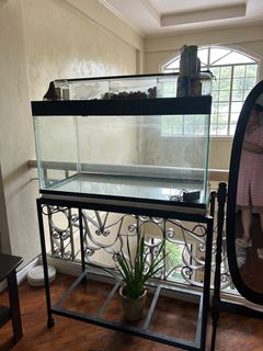 60+gallon+fish+tank - View all 60+gallon+fish+tank ads in Carousell ...