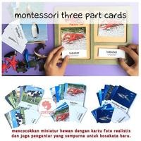 Montessori Three Part Cards Wild Ocean Animal Bug Dinosaur | LANGUAGE ...
