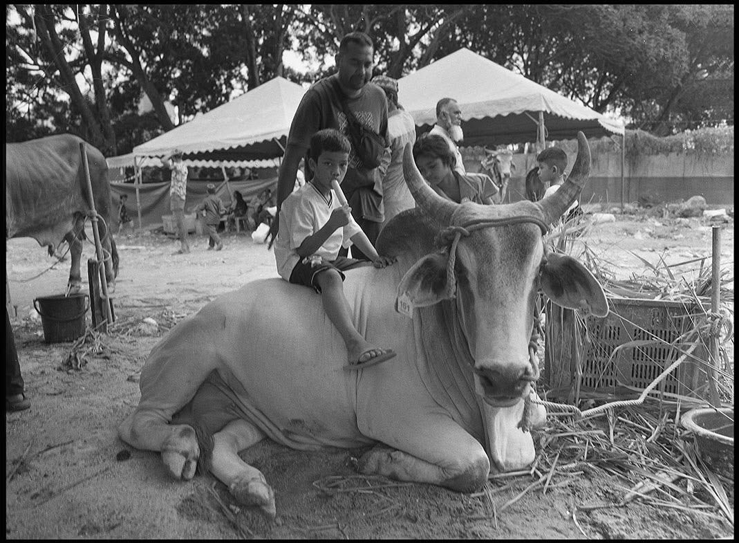 KENTMERE PAN 400 FRESH BLACK & WHITE FILM. 120 FORMAT, Photography ...
