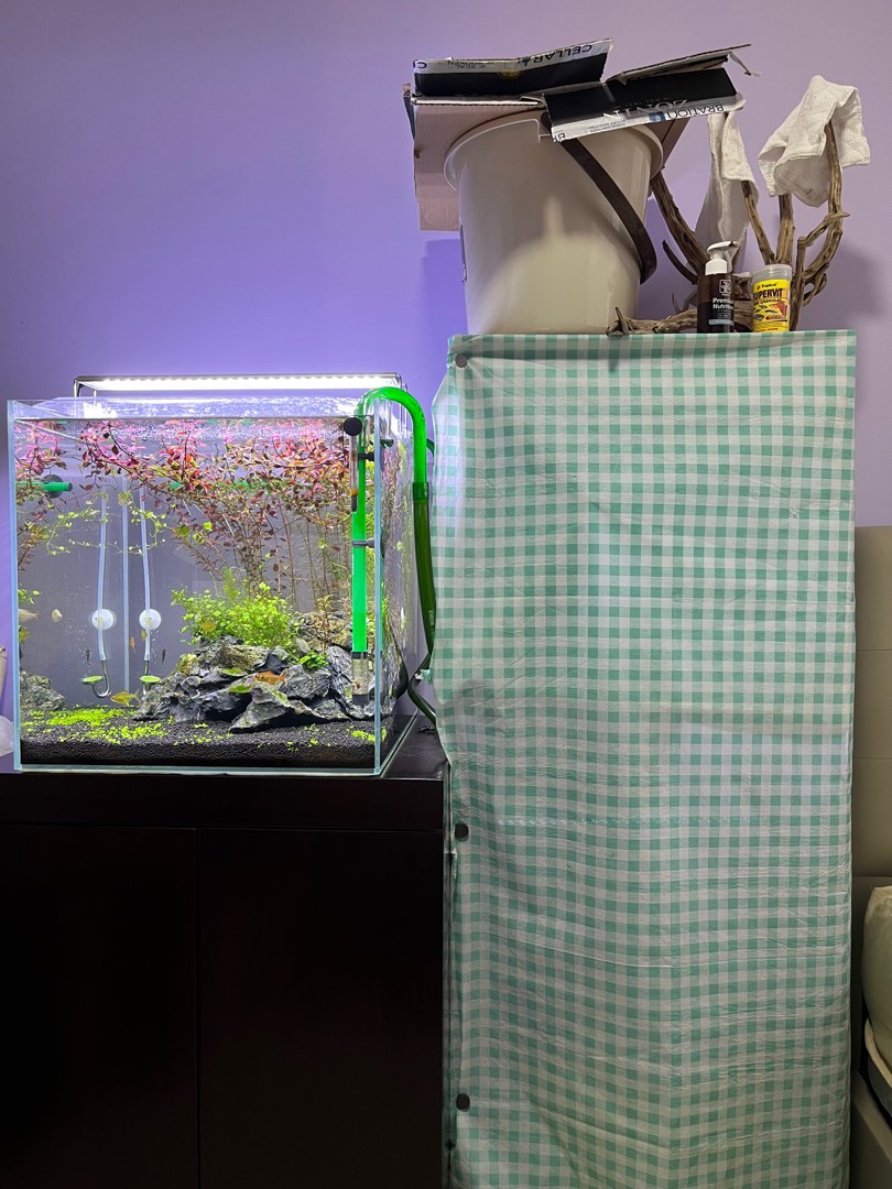 45cm Cube Glass Fish Tank, Pet Supplies, Homes & Other Pet Accessories ...