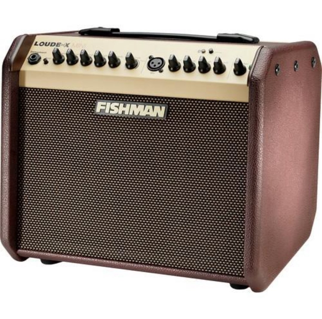 Fishman Loudbox Mini Guitar Acoustic Amplifier, Hobbies & Toys, Music ...