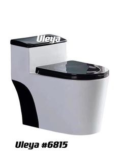 Pozzi Two Piece Watercloset toilet set, Furniture & Home Living ...