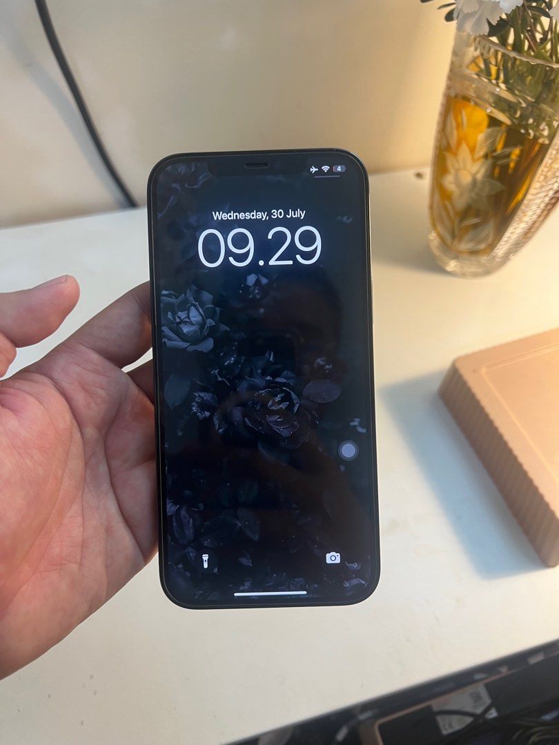 Iphone 12 pro max 256gb ibox, Telepon Seluler & Tablet, iPhone, iPhone ...