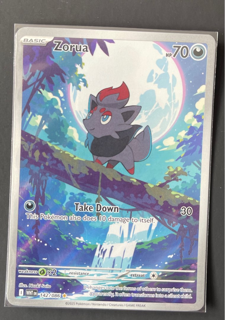 Pokemon TCG - Zorua 142/086 IR White Flare, Hobbies & Toys, Toys ...