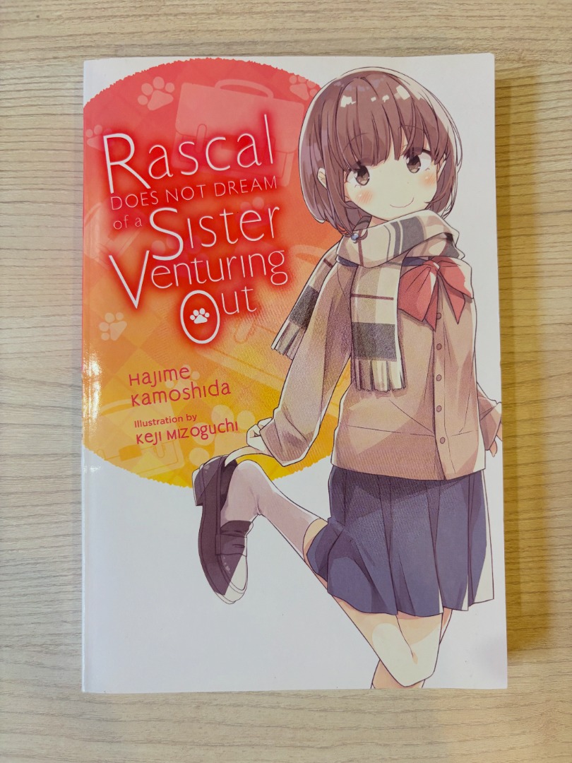 Rascal Does Not Dream of a Sister Venturing Out (light novel), Hobbies ...