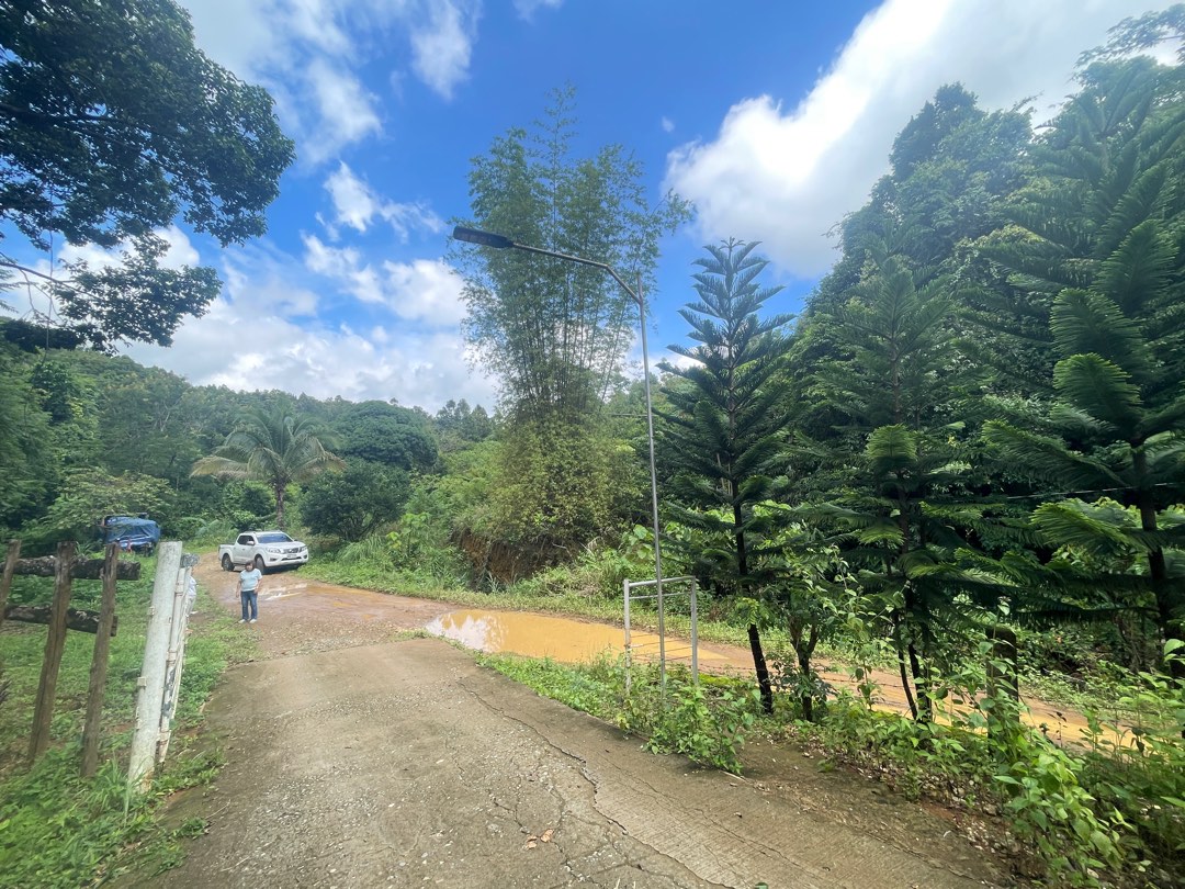 22 Hectares of Potential in DRT: Ready for Your Next Big Idea, Property ...