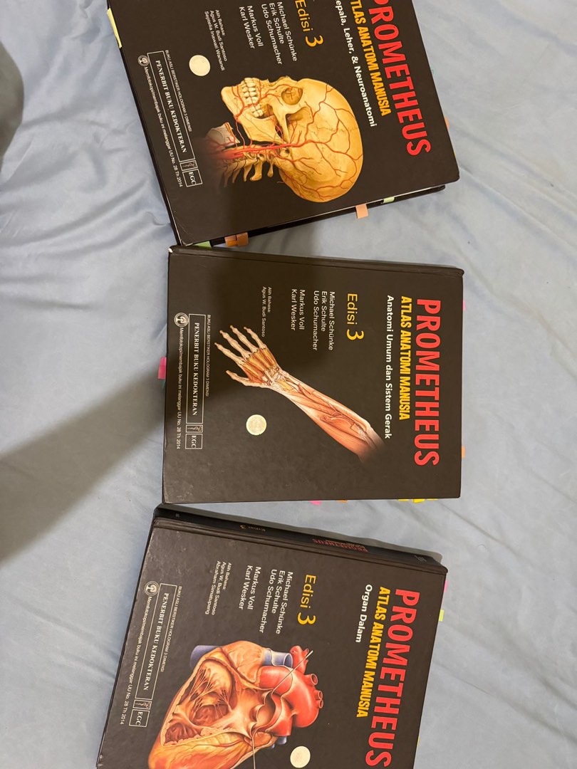 Atlas Anatomi Prometheus Edisi 3, Buku & Alat Tulis, Buku di Carousell