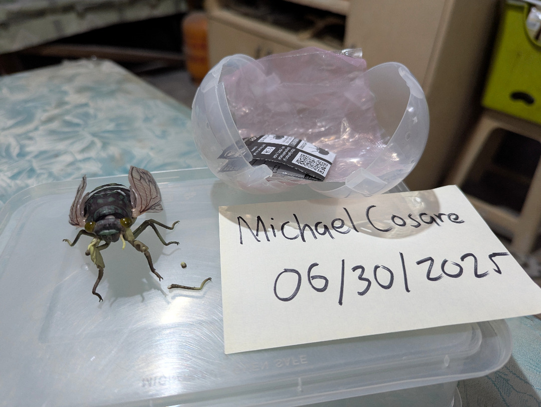 BIC Bandai Gashapon The Diversity of Life on Earth Insects Set (some ...